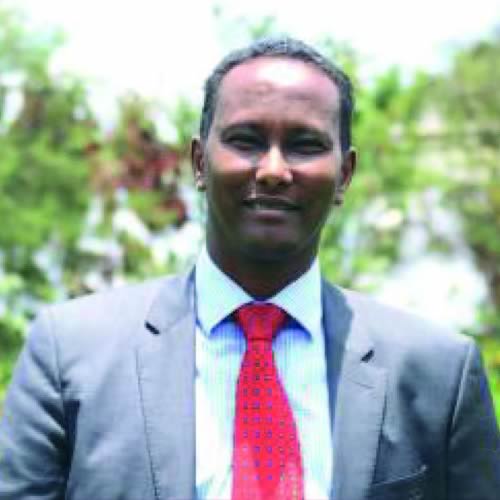 The university council