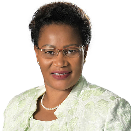 The university council